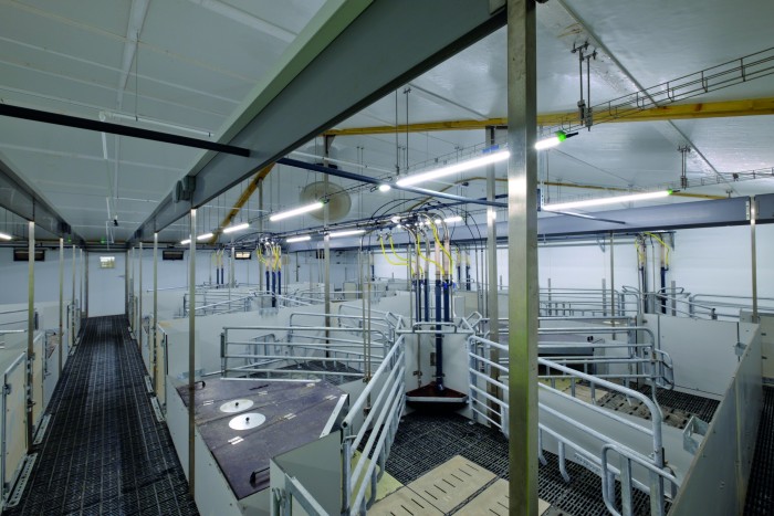 The farrowing crate conundrum | Pig World