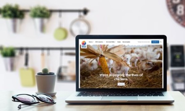 RSPCA Assured launches new ‘user-friendly’ website | Pig World