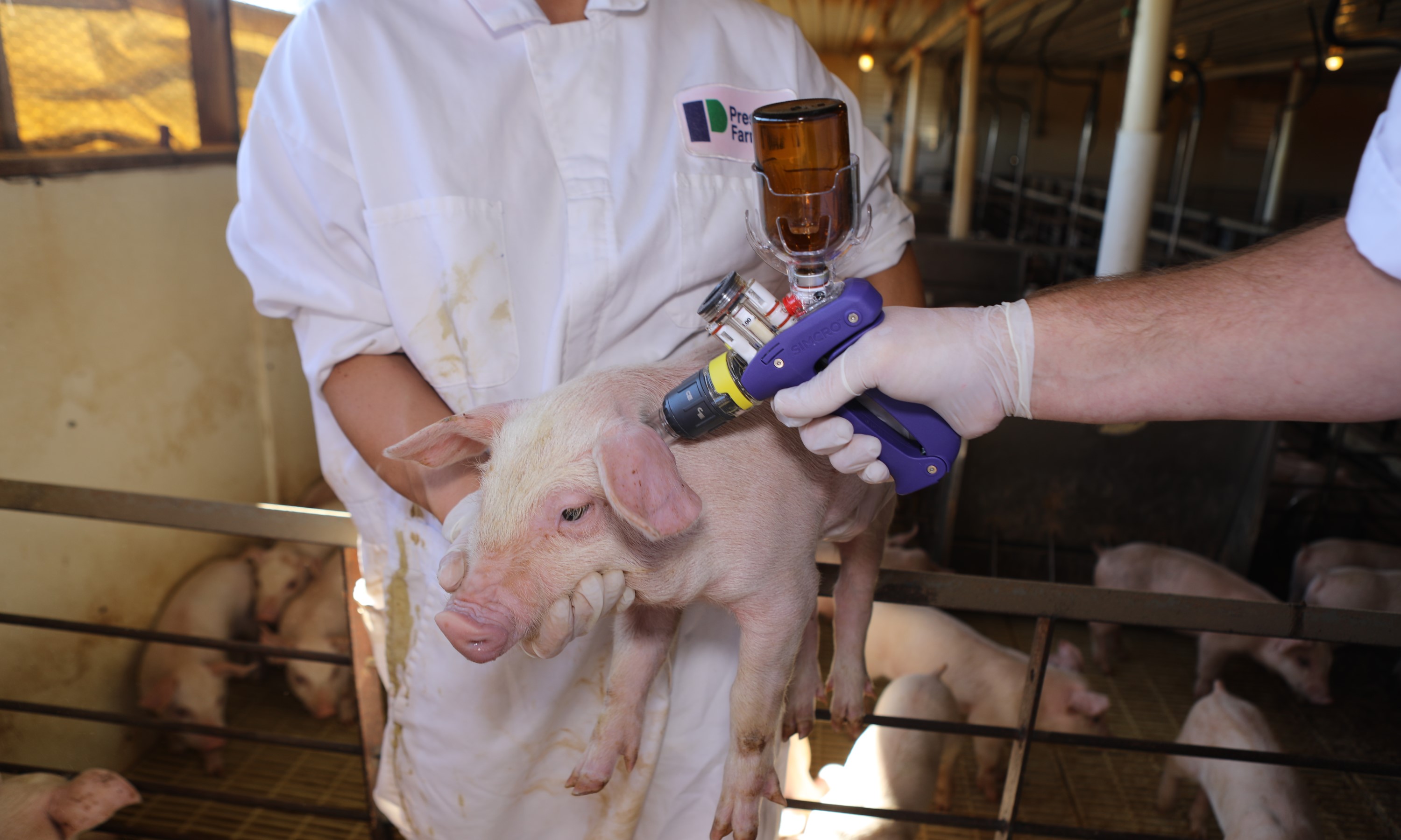 New injector ‘meets swine producers’ requirements for compliance and ...
