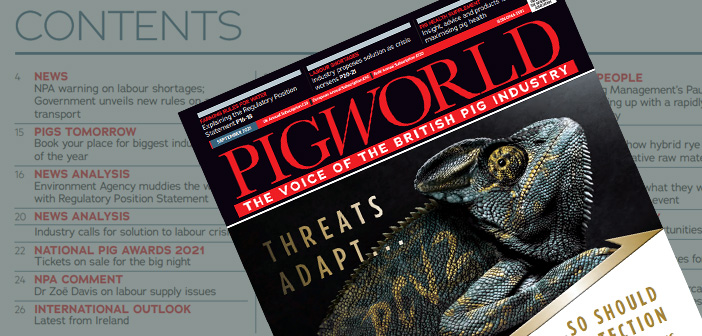 Pig World – September 2021 | Pig World