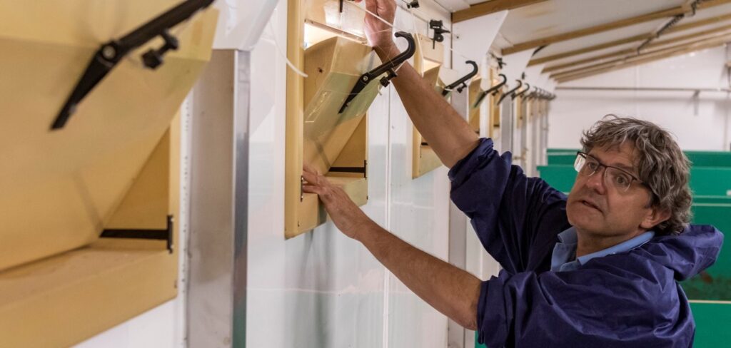 ARM urges pig farmers to check ventilation systems as back up builds ...