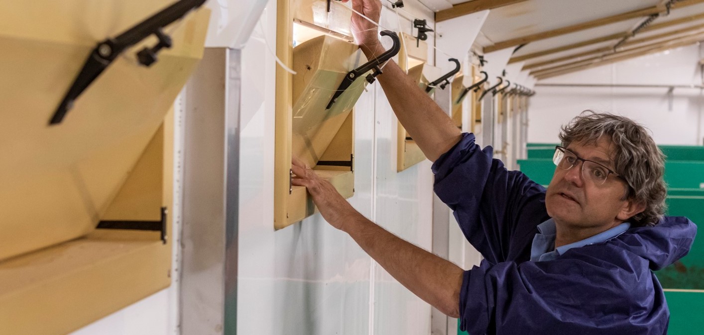 ARM urges pig farmers to check ventilation systems as back up builds ...