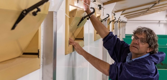 ARM urges pig farmers to check ventilation systems as back up builds ...