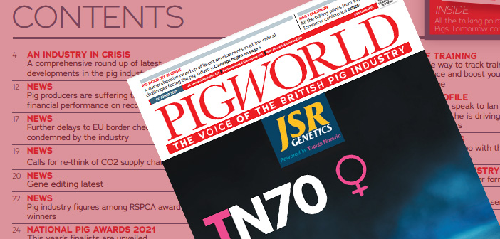 Pig World - October 2021 - Pig World