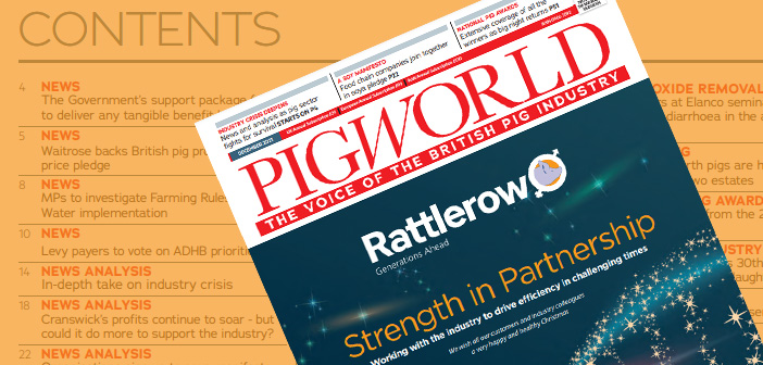 Pig World – December 2021 | Pig World