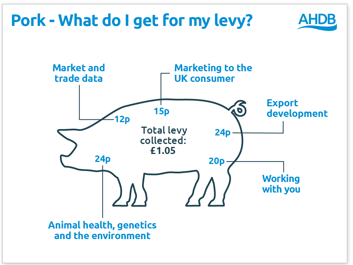 Your chance to shape how your levy money is spent | Pig World