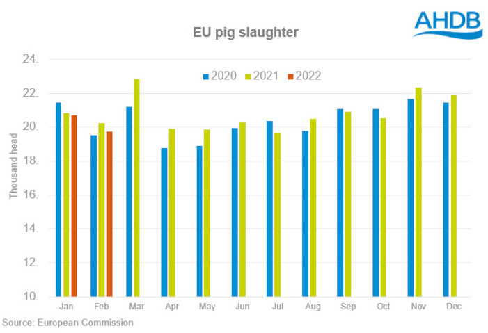 EU pig meat production falls as average market price climbs | Pig World