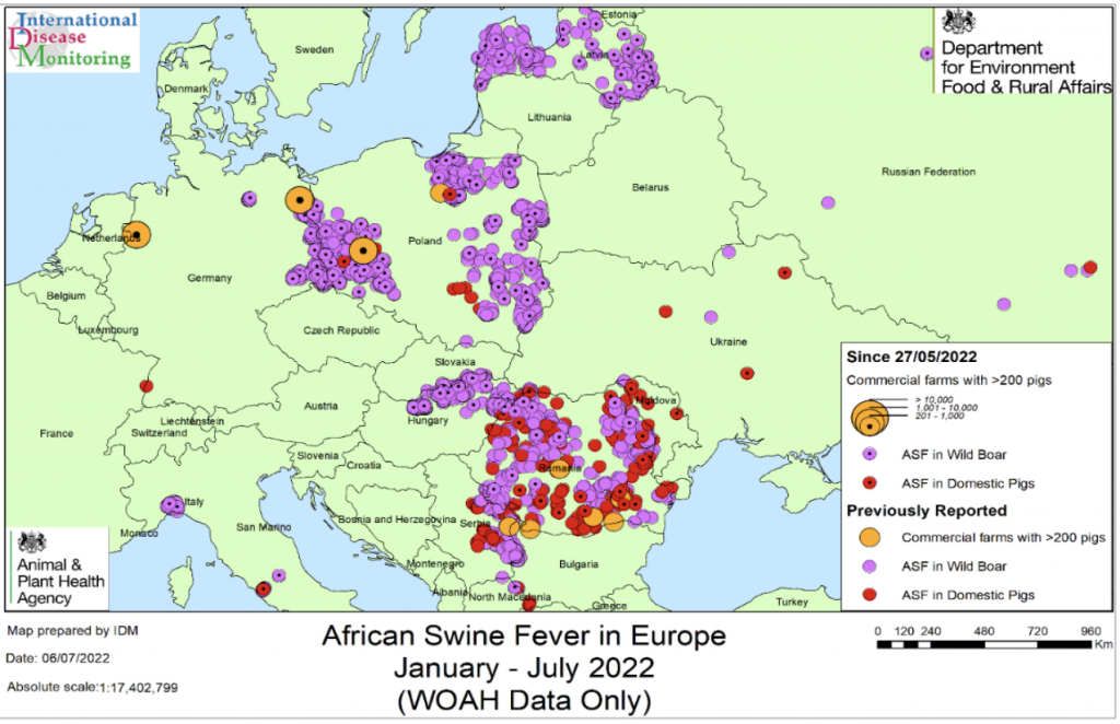 UK ASF risk increased to 'High' from human mediated routes - Pig World