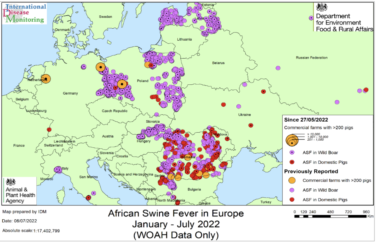 UK ASF risk increased to ‘High’ from human mediated routes | Pig World
