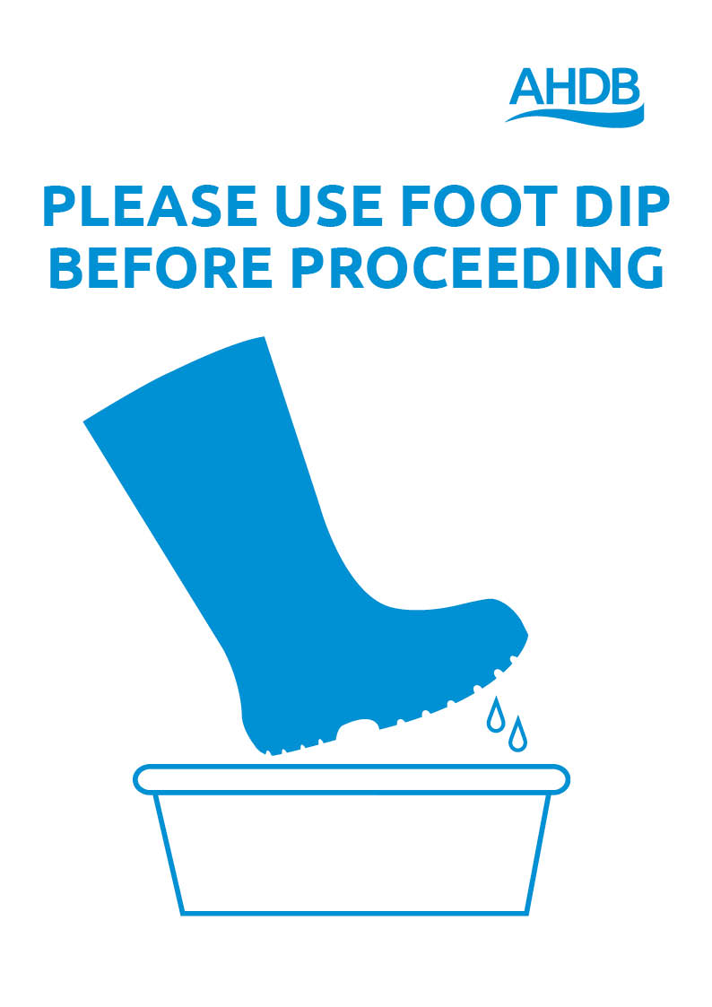 Biosecurity checklist: Producers urged to step up defences as African ...