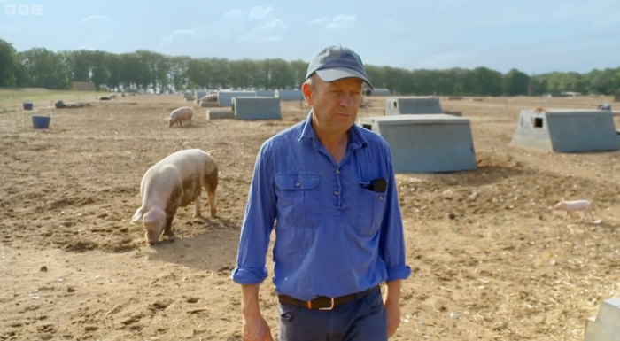 I have become one of the statistics – I’m getting out | Pig World