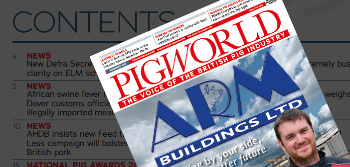 Pig World – November 2022 | Pig World