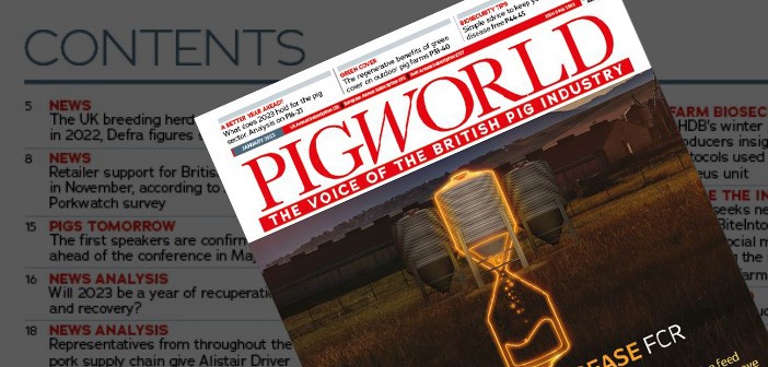 Pig World – January 2023 | Pig World