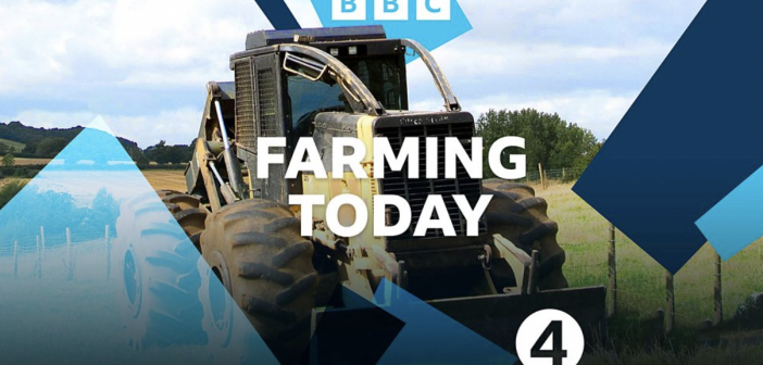 Pig sector still has a long way to go to fill financial ‘black hole ...