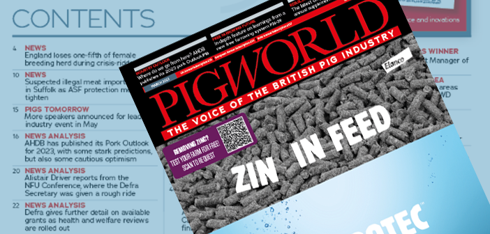 Pig World – March 2023 | Pig World