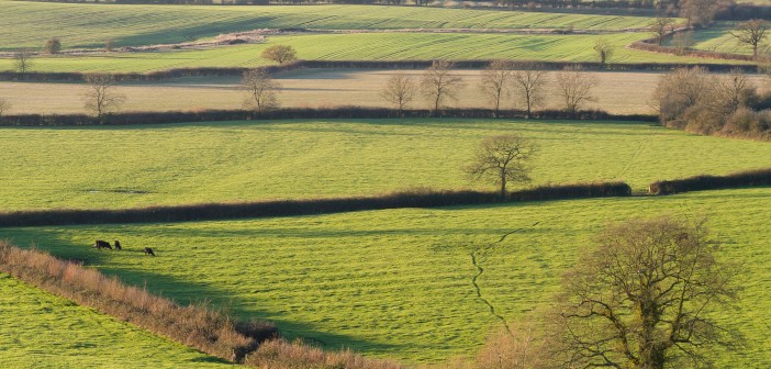 Applications for 2024 Countryside Stewardship Mid Tier agreements open ...