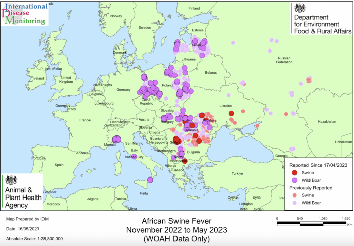 APHA expresses concern over ASF spread to new area in Italy | Pig World