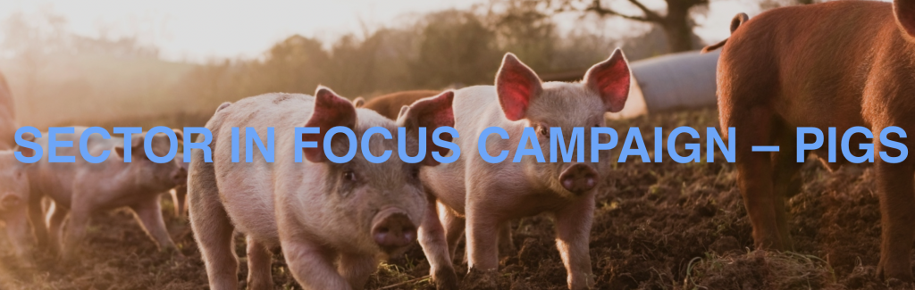 Richard Lister highlights pig sector antibiotic progress as part of ...