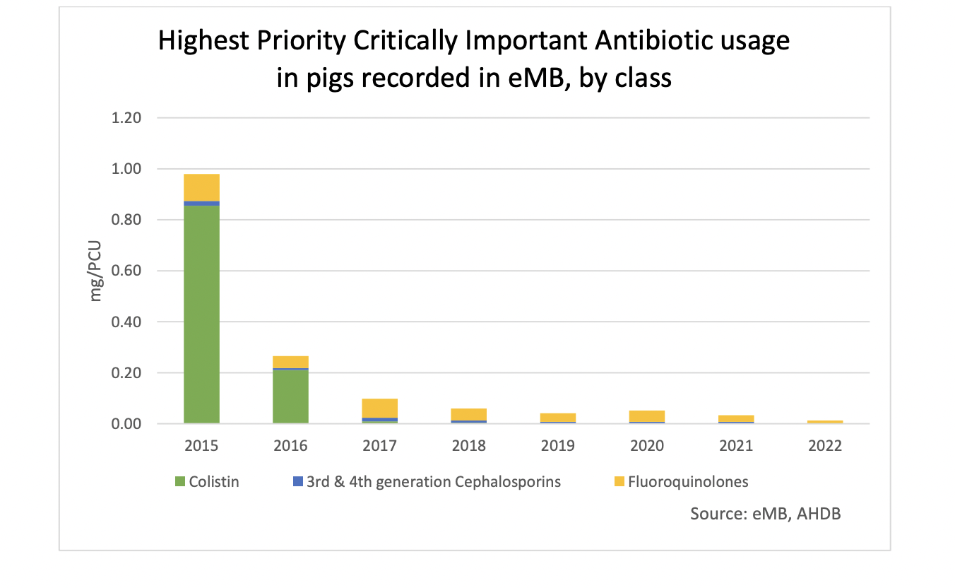 UK pig sector records 20% drop in antibiotic usage, but warning issued ...