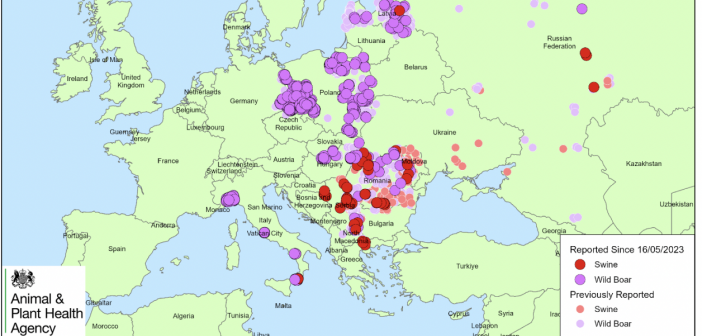 UK African swine fever risk status unchanged, after new Balkans ...