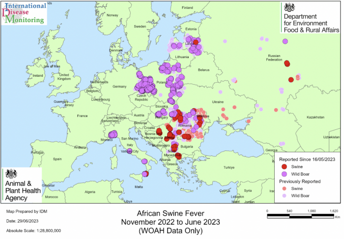 UK African swine fever risk status unchanged, after new Balkans ...
