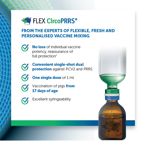 FLEX CircoPRRS | Pig World