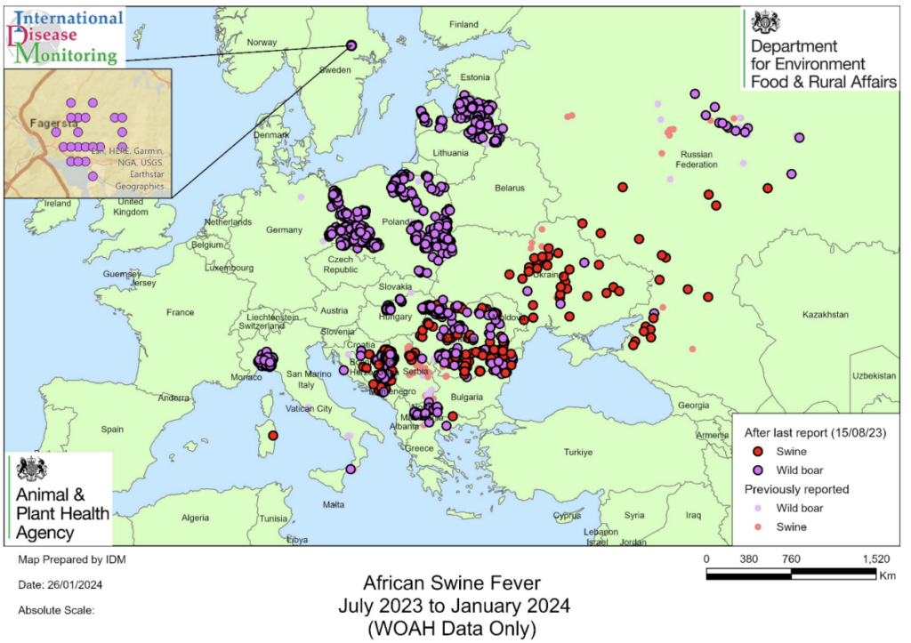 APHA warns of 'high concern' over risk of ASF reaching UK pigs via ...